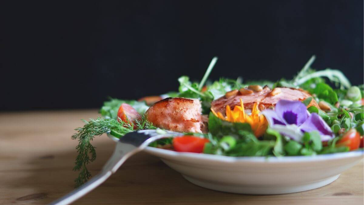 L’assiette idéale pour avoir une alimentation équilibrée | SantiShop