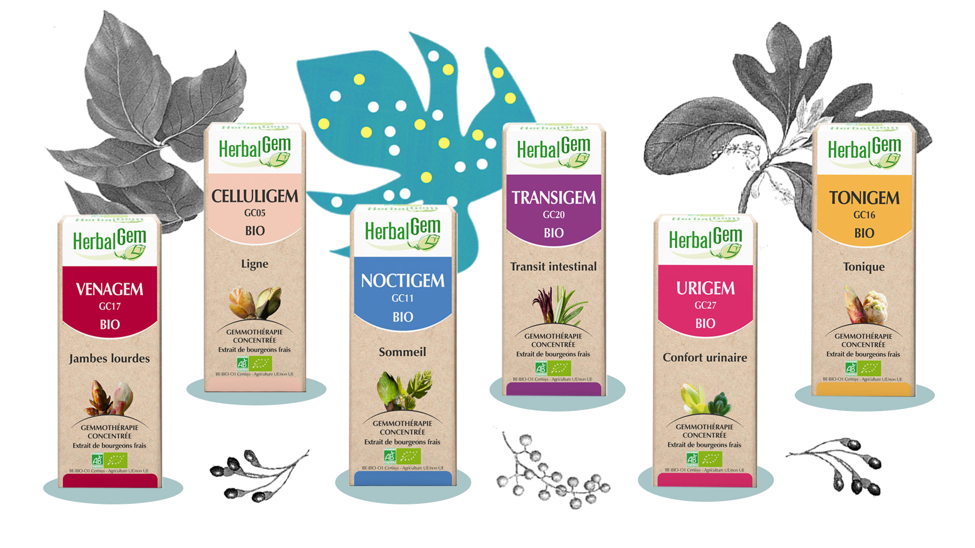 Santi-Shop : eshop naturel, bio et durable